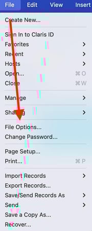 FileMaker 2023: OnWindowTransaction Script Trigger