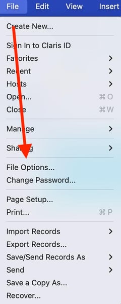 FileMaker 2023: OnWindowTransaction Script Trigger