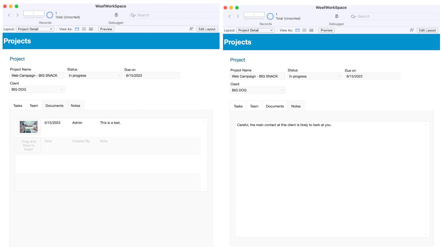 FileMaker Project Management Template